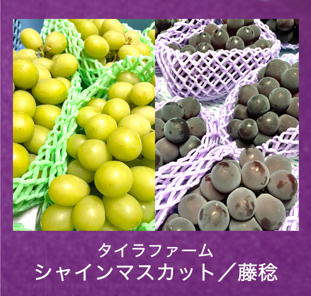 【10/14(土)群馬戦】スタジアムグルメ情報 | 藤枝MYFC