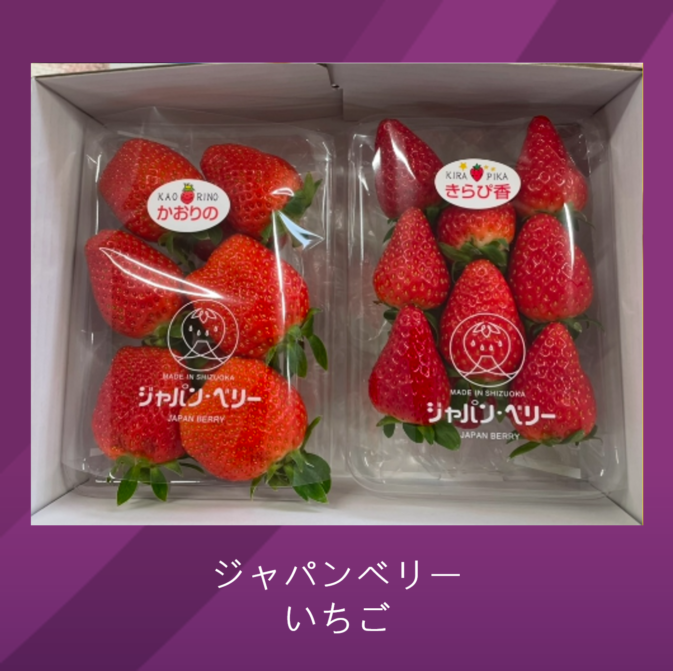 【2/15(土)徳島戦】〜静環検査センタープレゼンツ ホームタウン藤枝DAY〜イベント情報 | 藤枝MYFC